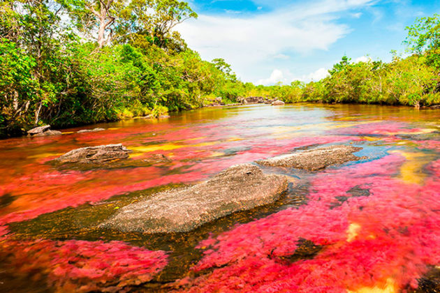 Caño Cristales, el río de los siete colores - Viajando por Colombia