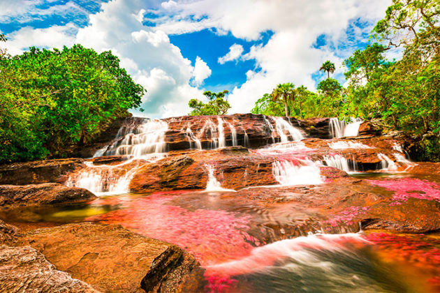 Caño Cristales, el río de los siete colores - Viajando por Colombia